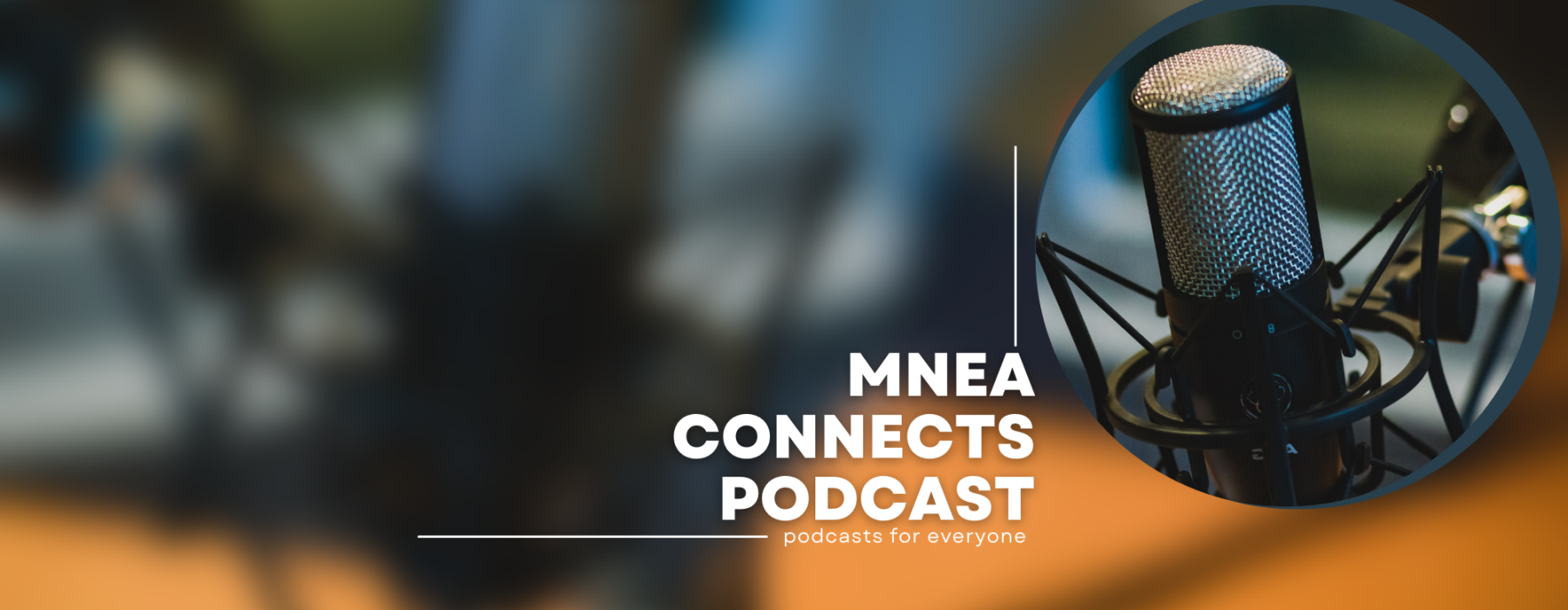 MNEA (Missouri National Education Association)